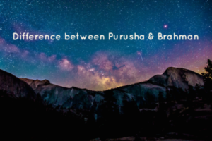 What is the difference between Purusha and Brahman?