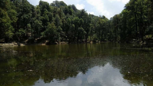 Who was Nachiketa in Upanishads